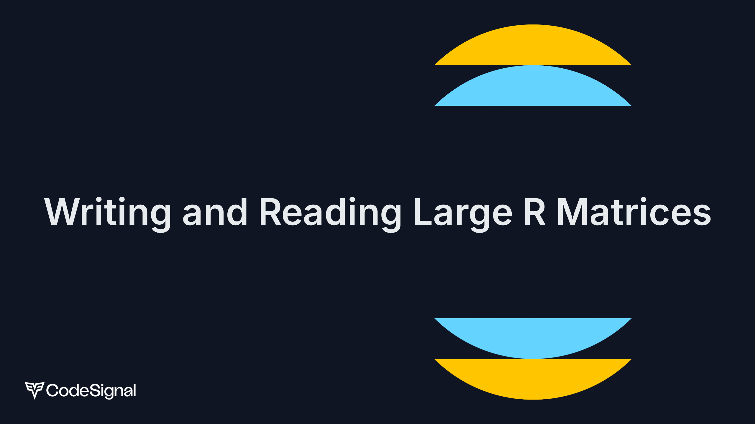 Writing and Reading Large R Matrices | CodeSignal Learn