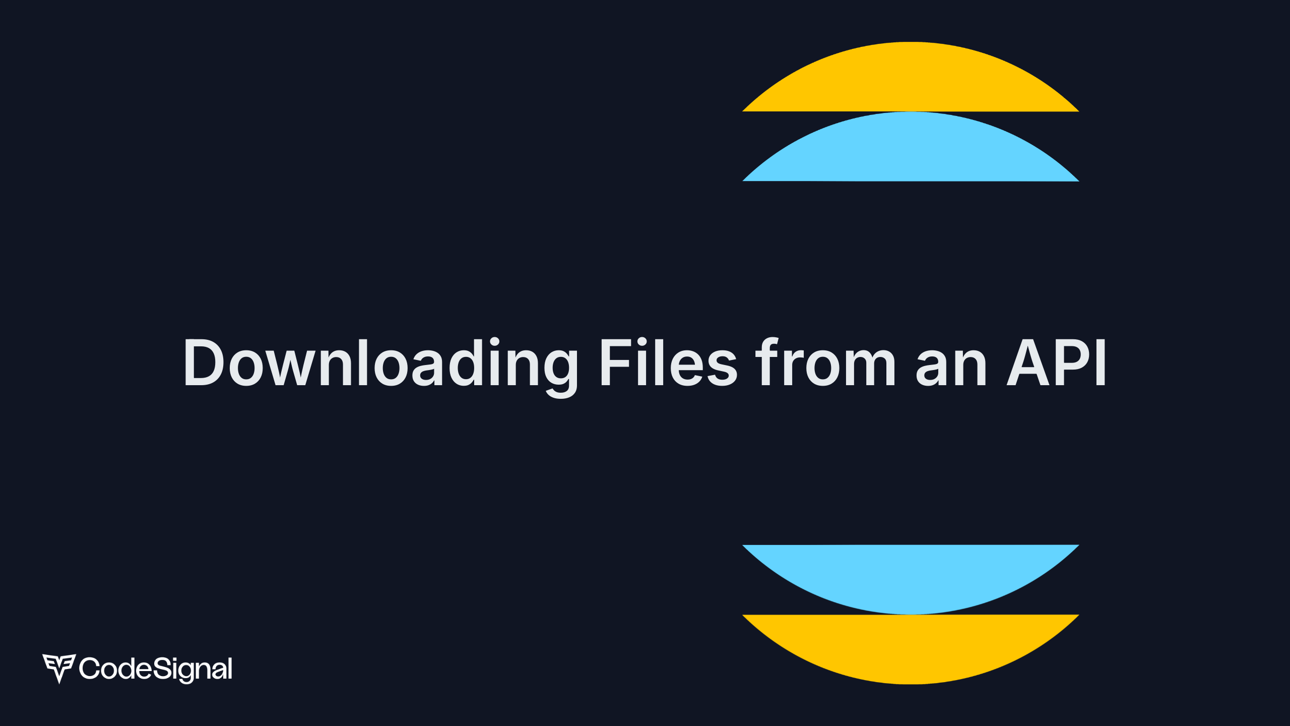 Downloading Files from an API | CodeSignal Learn